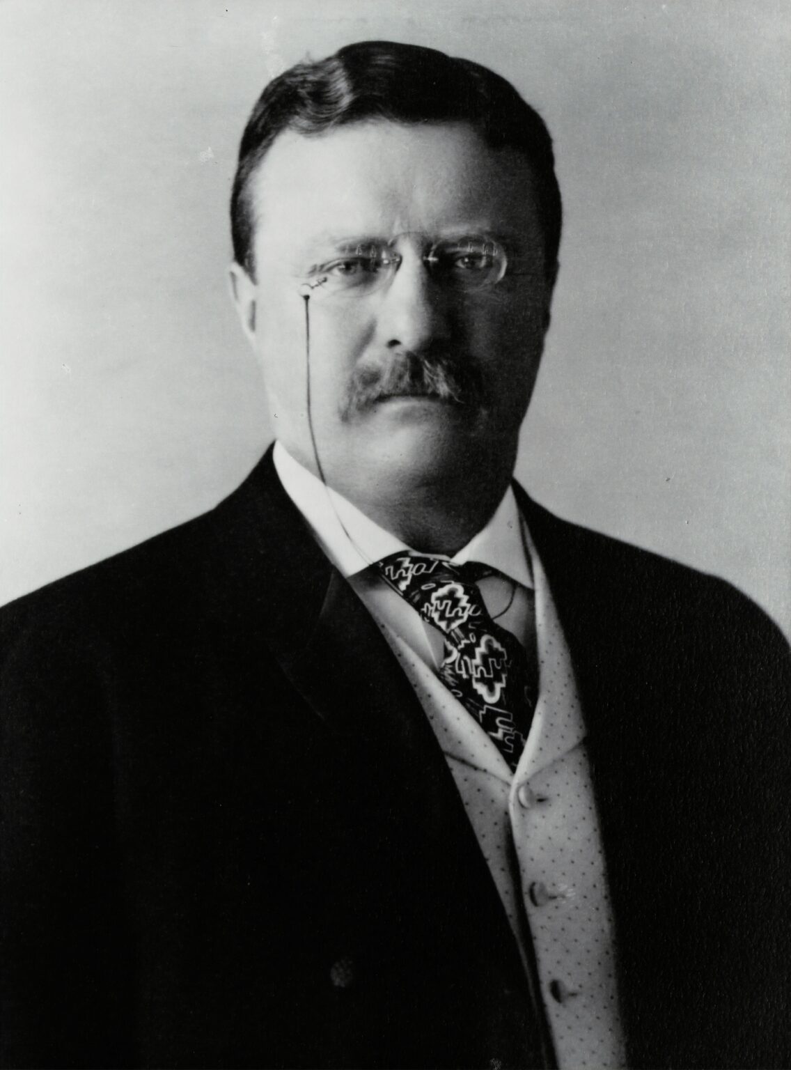 Theodore Roosevelt: the man behind the teddy bear - The Vision Online